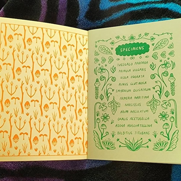 Spring Wild - Plant Zine, Comic Risograph Handmade - Etsy