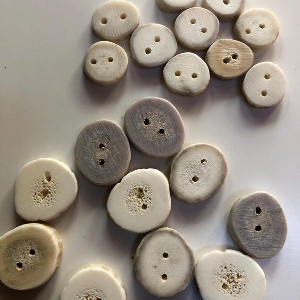 Deer Antler Toggle: Naturally Shed Deer Antler Toggle, One Toggle ...