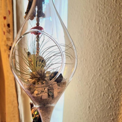 XL DIY Terrarium Kit Tall Ecosphere Jarrarium Kit Make Your Own ...