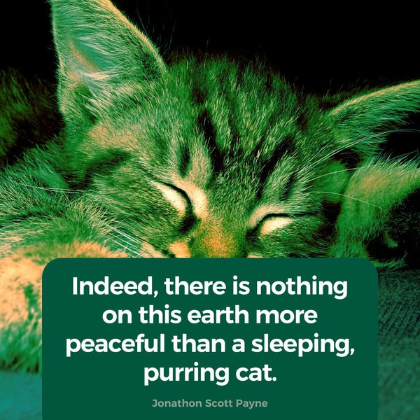 30 Coral Reef Instagram Highlight Covers | Blue Ocean Sea Pastel Coral ...