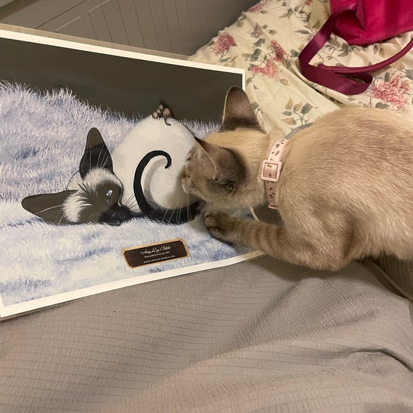 Majestic Painted Warrior Horse Wild Spirit Horses Pony Fine Art Prints ...