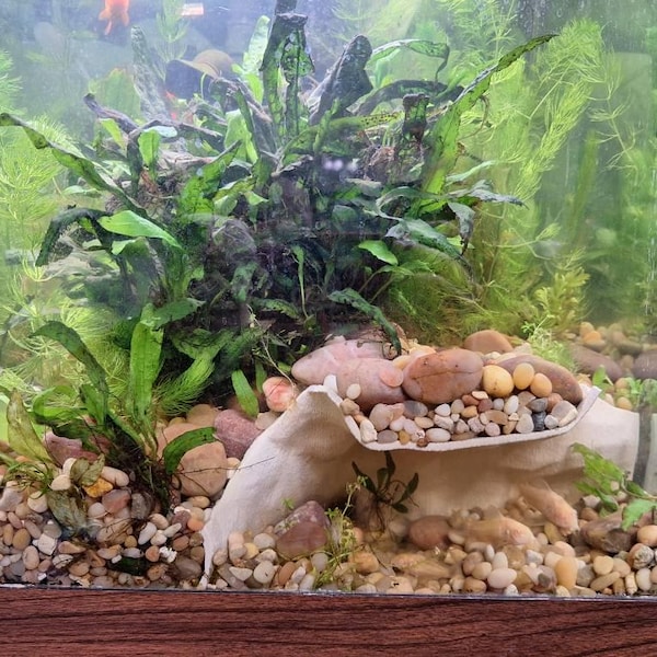 Spacious Corner Aquarium Terrarium Cave – Elevated Hideout for Fish ...