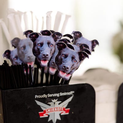 Custom Face Fans on a Stick, Face Cutouts for Bachelorette, Big Head ...