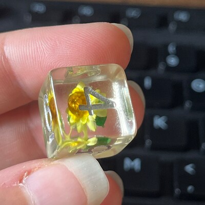 Polymorph Mystery Dice Set 7pcs D&D Pathfinder Call of Cthulhu Tabletop ...