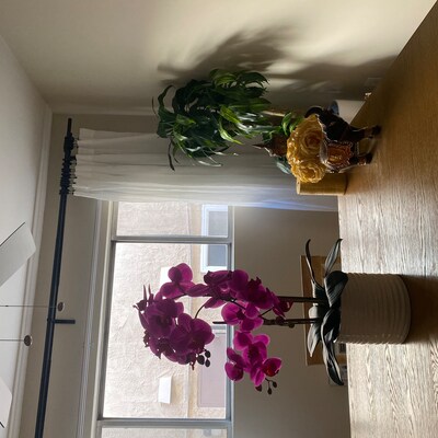 Rogaska QUEEN the ASI Collection Lead Crystal Barware Cordial - Etsy