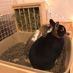 Large W/ Back Bowls Hop Box: Rabbit Bunny Hay Feeder and Litter Pan ...