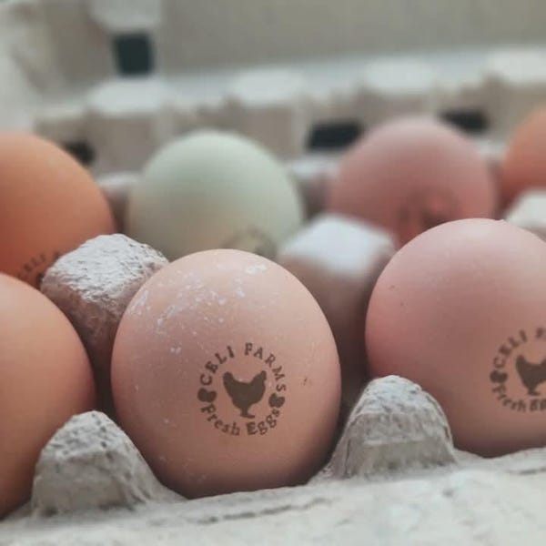 Mini Egg Stamp | Homesteading | Farm Stamp | Egg Marking | Egg Stamper ...