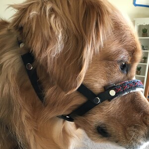 K9 Head Harness | Etsy
