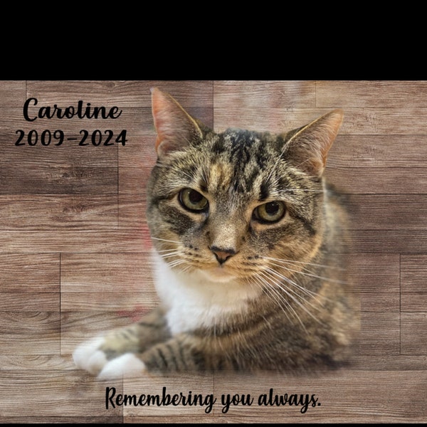 Cat Memorial Personalized Cat Memorial Loss of Pet Cat Pet Memorial ...