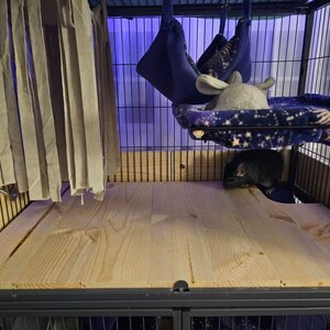 Full Length Cage Ledges for Full Cheeks Chew Proof City Loft Cage Kiln ...