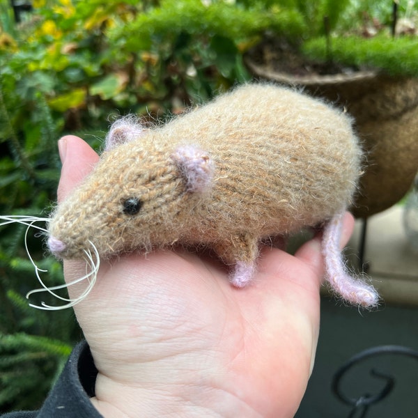Knitted Realistic Rat Toy * Custom Rat Replica as Pet Memorial Gift - Etsy