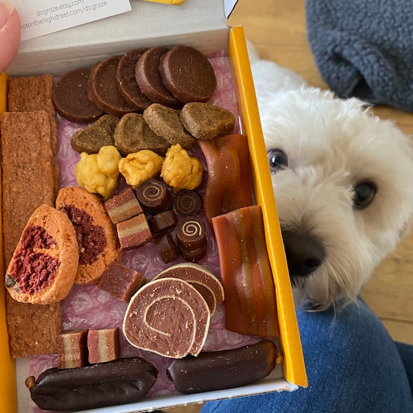 Dog Treat Box, (MEATY) Specialty Gourmet Treats, Birthday, Gotcha Day ...