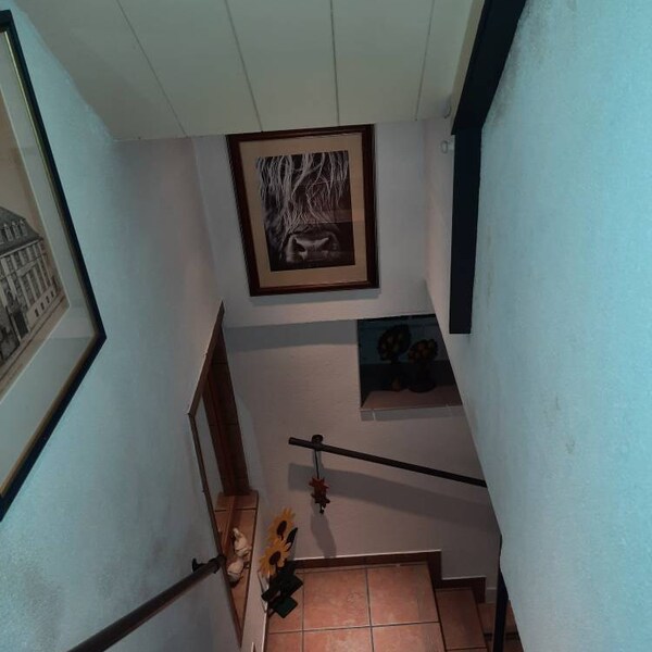 Cow With Flower Wreath Poster, Animal Portrait in the Style of an Oil ...