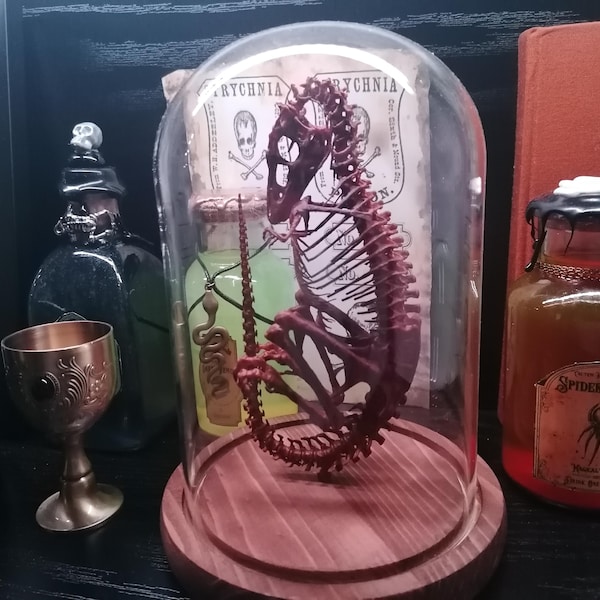 Magic Potion "elixir of Eternal Night" - Gothic Esoteric Decoration ...