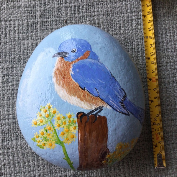 4 Flat Round Rocks 4 to 6 Inches. Lot of 4 Rocks, Beach Rocks for ...