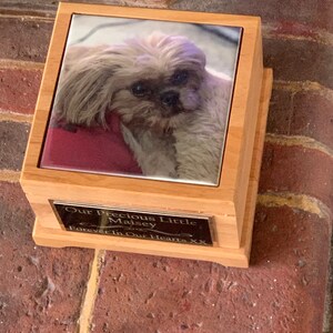 Trash Talker Trophy Award Galvanized Garbage Can Take Out the | Etsy