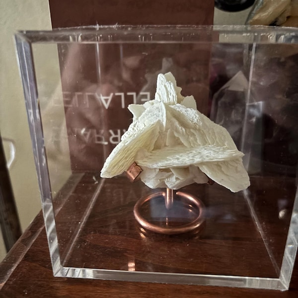 T'z Tagz Clear Acrylic Locking Donation, Ballot, Suggestion, Charity ...