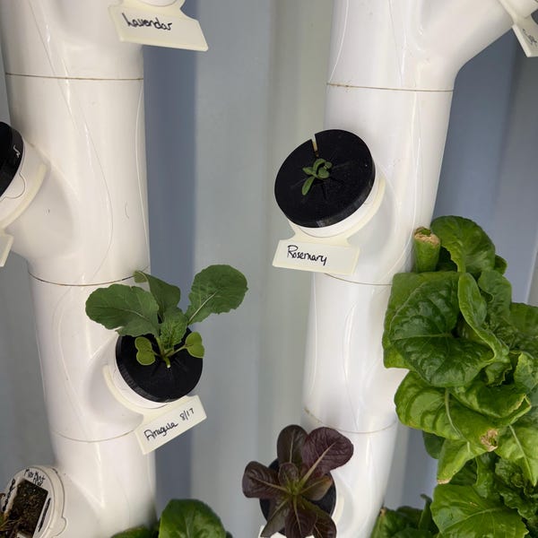 Pod Labels - Etsy