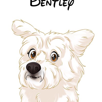 Custom Pet Cartoon Portraits,custom Cartoon Dog Portraits,cat Portraits ...