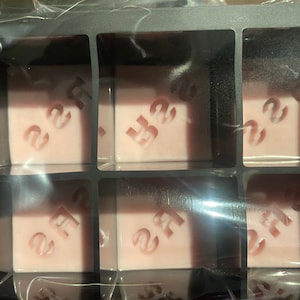 Custom Ice Mold Letter Ice Cubes Monogram Ice Mold - Etsy