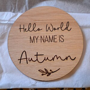 Teacher Acrylic Cupcake Disc Cake Toppers Mirror Acrylic Disc ...