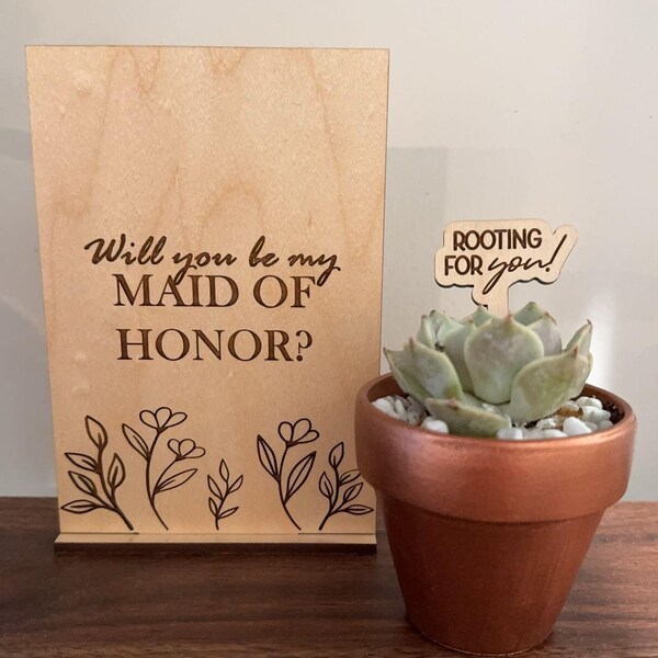 Teacher Appreciation Succulent Plant Gift Box: Thank You for Helping Me ...