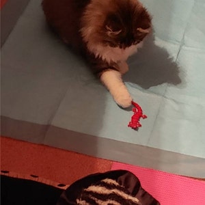 Kitty Lizard Articulated Cat Toy - Etsy