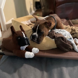 Boxer Dog Boxer Dog Lovers Gifts Dog Lovers Gifts Boxer Dog - Etsy
