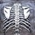 Ribcage Back Patch, Ribcage, Skeleton Patch, Bones Patch, Cloth Patch, Spine, Back Patch, Canvas ...