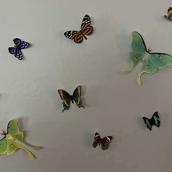 Realistic Paper Butterflies, Ready to Use Cut Outs - 10 Pieces - Etsy