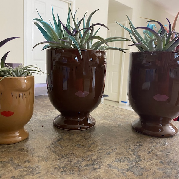 Medium Celfie Vase Face Pot Planter for Cacti or Succulent Plant; Makes ...