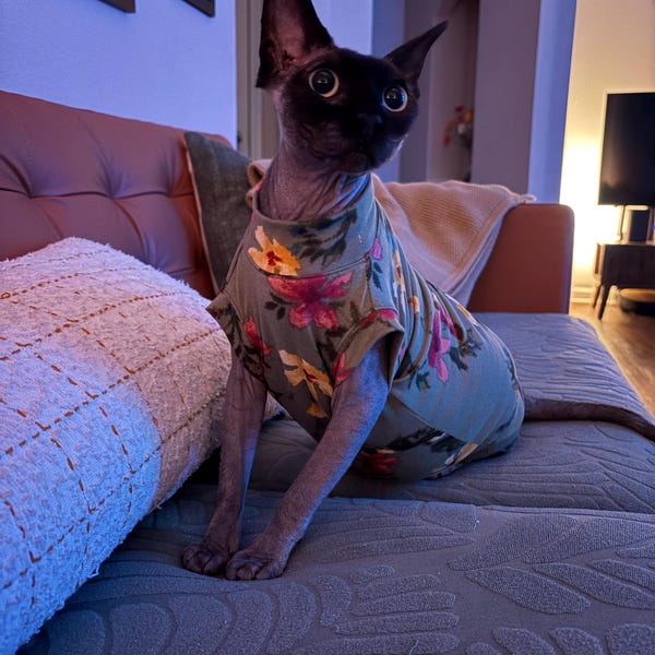 Snuggle Bed, Cat Sleep Sack, Sleeping Bag, Pet Sleeping Bag, Pet ...