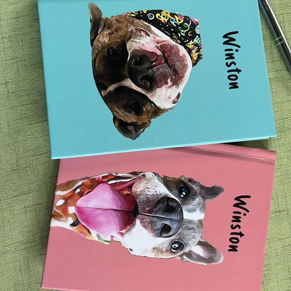 Senior Memory Book, Personalized Senior Year Gift, College High School ...