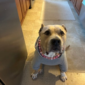 Peach Lilac Julep Beaded Dog Collar Personalized, Spring Pastel Glam ...