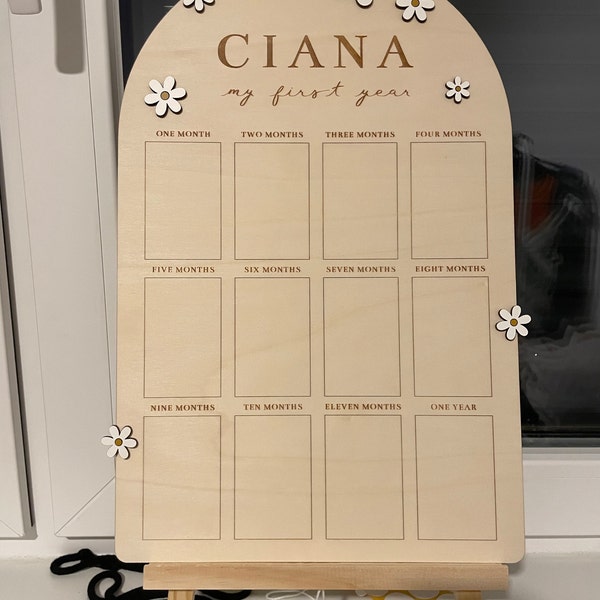 My First Year Teddy Bear Photo Board, Boho Retro One Year of Photo ...