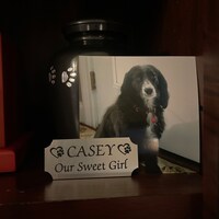 1x3 Engraved Name Plate Personalized Customized Wall Door - Etsy