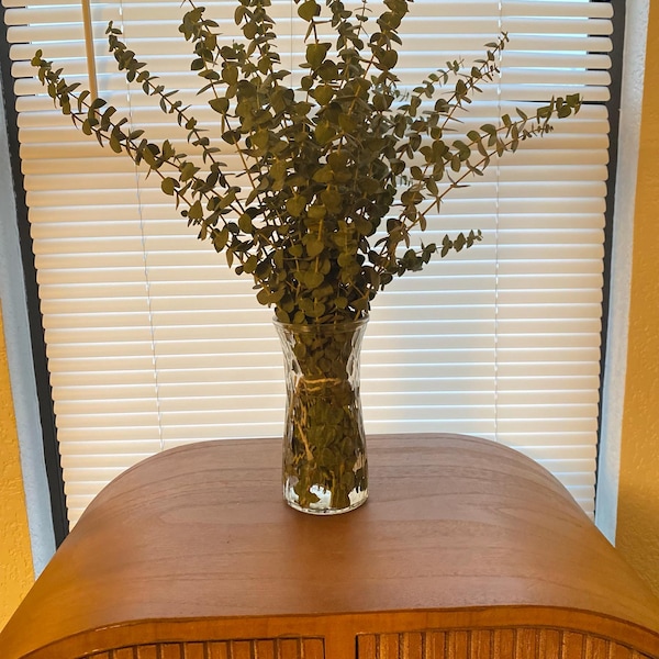 Fresh Eucalyptus Shower Bundle, Eucalyptus Shower Bundle, Indoor ...