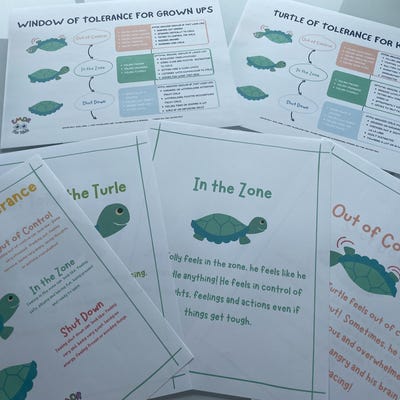 Tolly the Turtle of Tolerance - Etsy