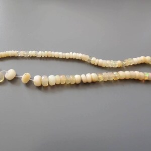 Natural Smooth Kodi White Kaudi Sea Shell Kawri Hippie Bohemian Kodi ...