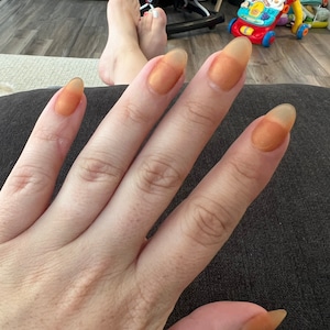 Solid Jelly Color Nails CHOOSE Your Color Gloss or Matte Press on Nails ...