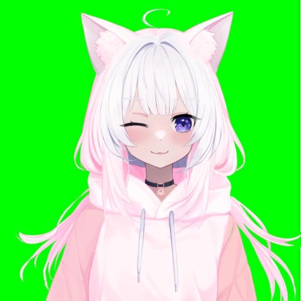 Pngtuber, Gamer Girl 2d Vtuber / Premade & Presetup Model With 5 ...