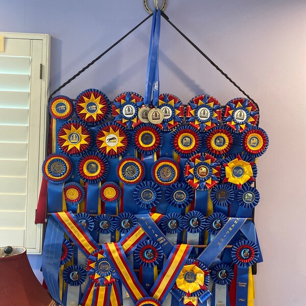 Upscale High Capacity Horse Show Ribbon Display Holder | Holds 75 ...