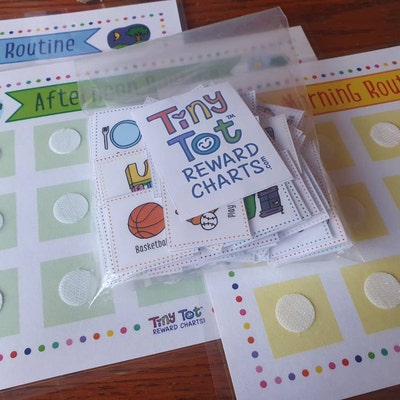 Daily Visual Schedule 120 Routine and Activity Cards, Includes Charts ...