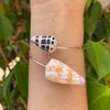 Hawaiian Clam Shell, Beautiful Natural Display of Hawaii, Great for ...