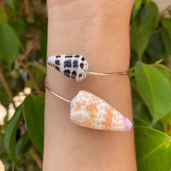 Hawaiian Clam Shell, Beautiful Natural Display of Hawaii, Great for ...