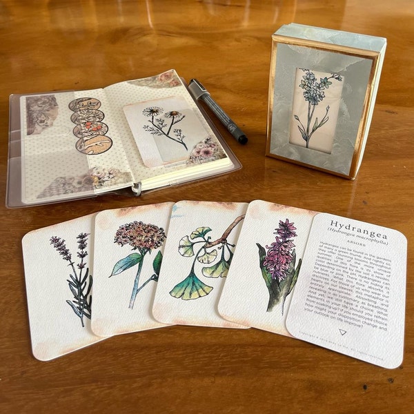 FLORA HEALING CARDS (deck Only | Box Not Included) - Etsy