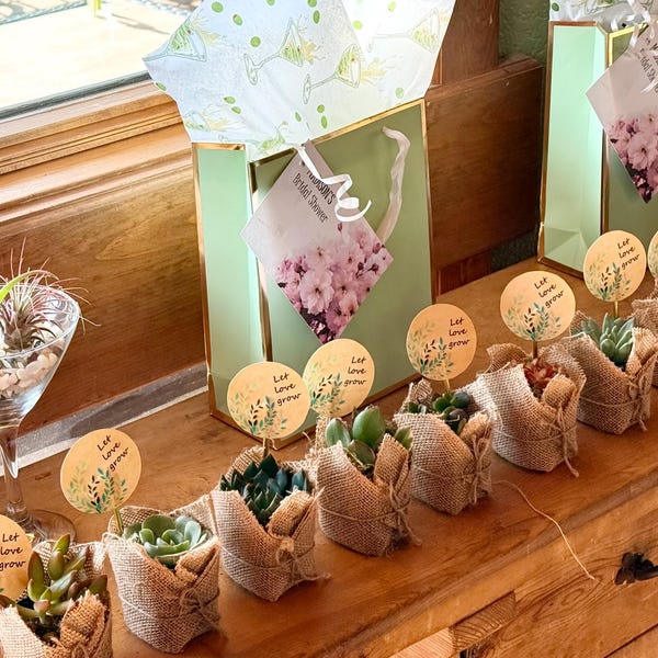 Let Love Grow - Wedding, Bridal Shower , Engagement Party Live ...