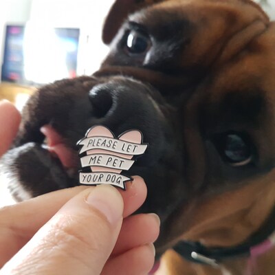 Anatomy Study Note Template for Veterinary Medical & Science - Etsy