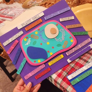 Animal Cell SVG and PDF Printable a Homeschool or Classroom Science ...