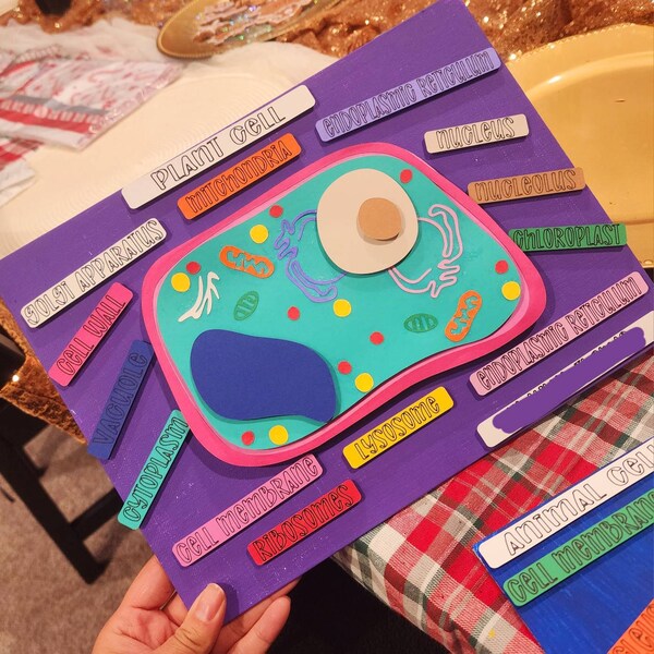 Plant Cell SVG and PDF Printable- a Homeschool or Classroom Science ...